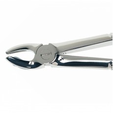 Duralast Forcep 39 Childrens Upper Molar | VP Dental & Medical Supplies